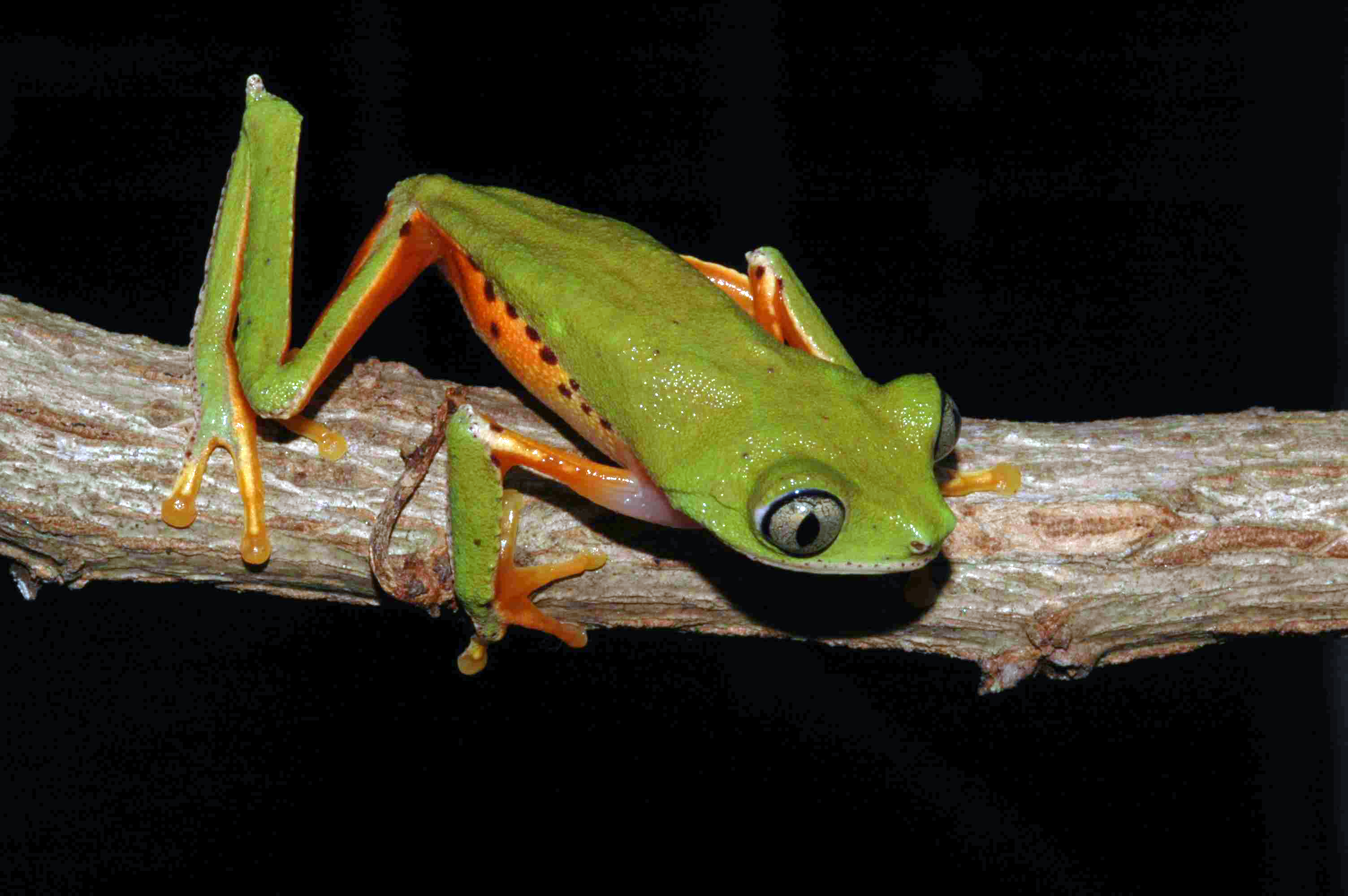 Join Us! – Zamudio Lab